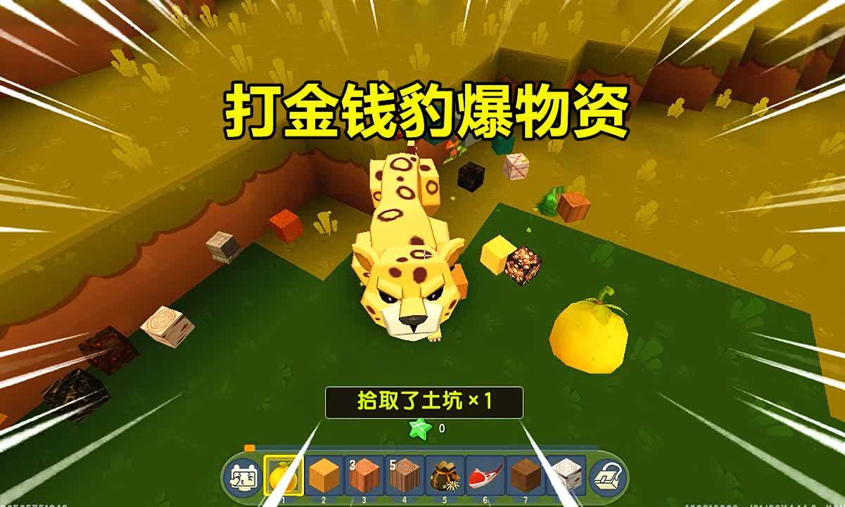 我的世界随机雨林生存!泥土是万能的,打金钱豹掉超多方块武器