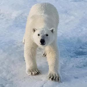 无拘无束的随风暴而来 