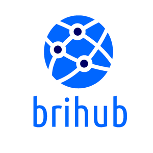 Brihub海外情报 