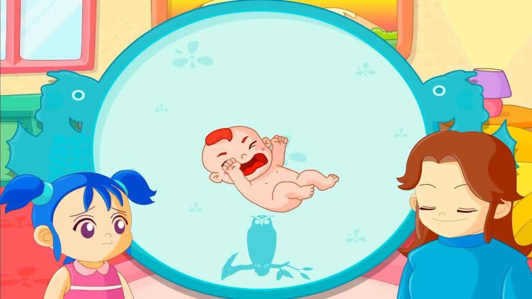 幼儿自然探索 第11集 动物的出生方式