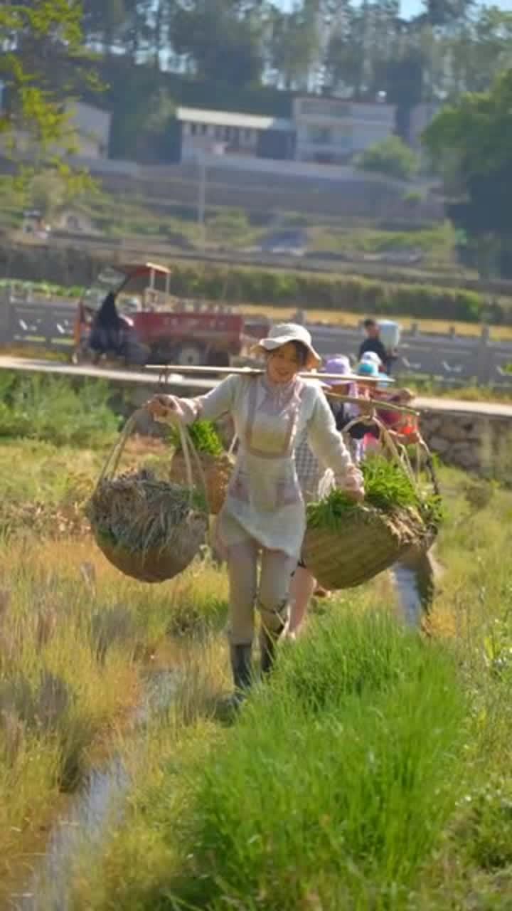 以小爱之举,暖夕阳之寂;或许这是回农村的意义吧