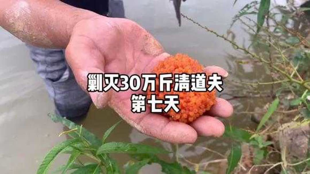 为保护生态环境做贡献。成为了五舅的一份责任,捕捉不易