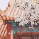 二十三时ߐ 