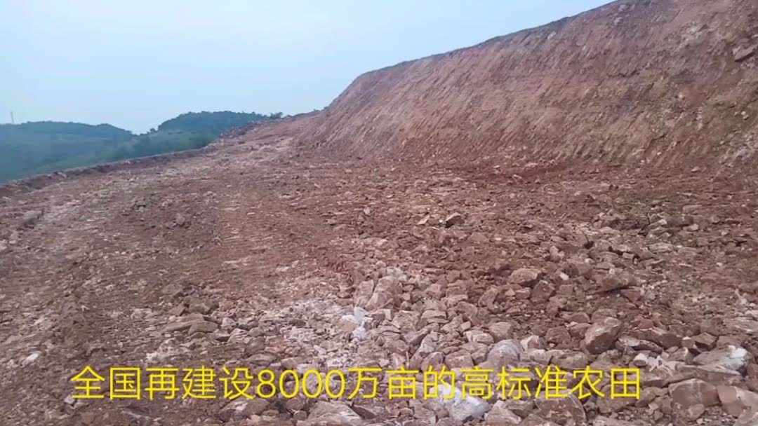 每亩地10万到4万的高标准农田建设,农村小伙子带你现场深入了解