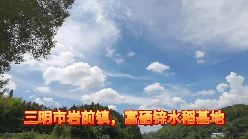 富硒锌水稻直播栽培