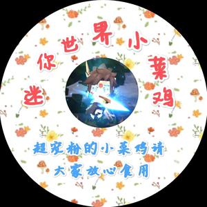 应该是小菜鸡吖 