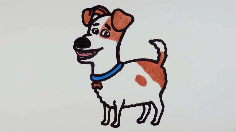 简易画教你画宠物狗