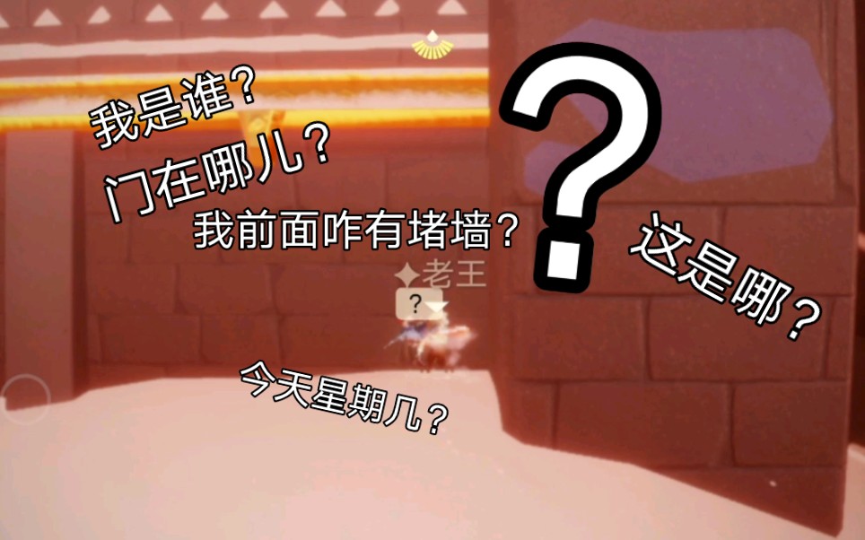 【Sky光遇】当你的朋友模仿快睡着的你跑图