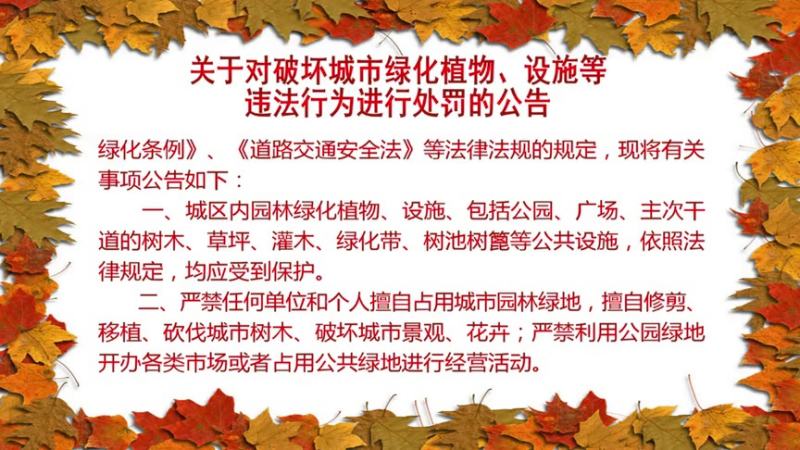 关于对破坏我县绿化植物、设施等违法行为进行处罚的公告