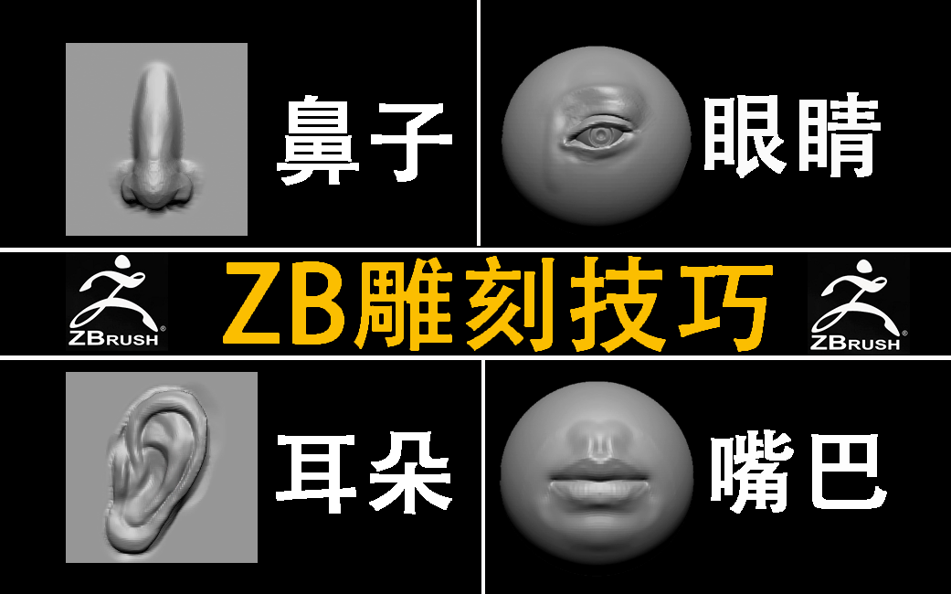 ZBrush建模雕刻技巧!从鼻子、耳朵、眼睛、嘴巴部位讲解制作,几分钟...