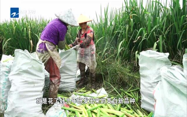 劳动最光荣:全国五一劳动奖章获得者