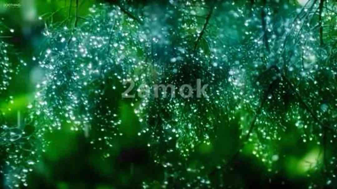 唯美下雨视频-视频素材-凌晨两点视频素材网