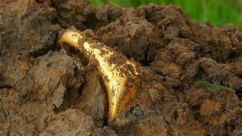 男子在地里挖出300年前金戒指,估值200万元,博物馆却不敢收!