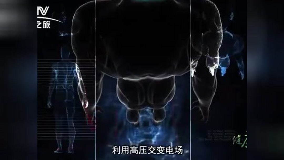 20160413期揭秘生物电