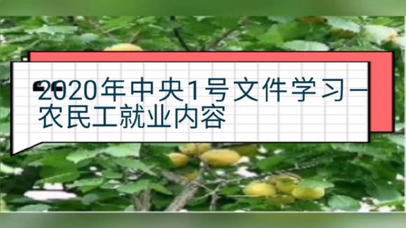 2020年中央1号文件学习—农民工就业内容