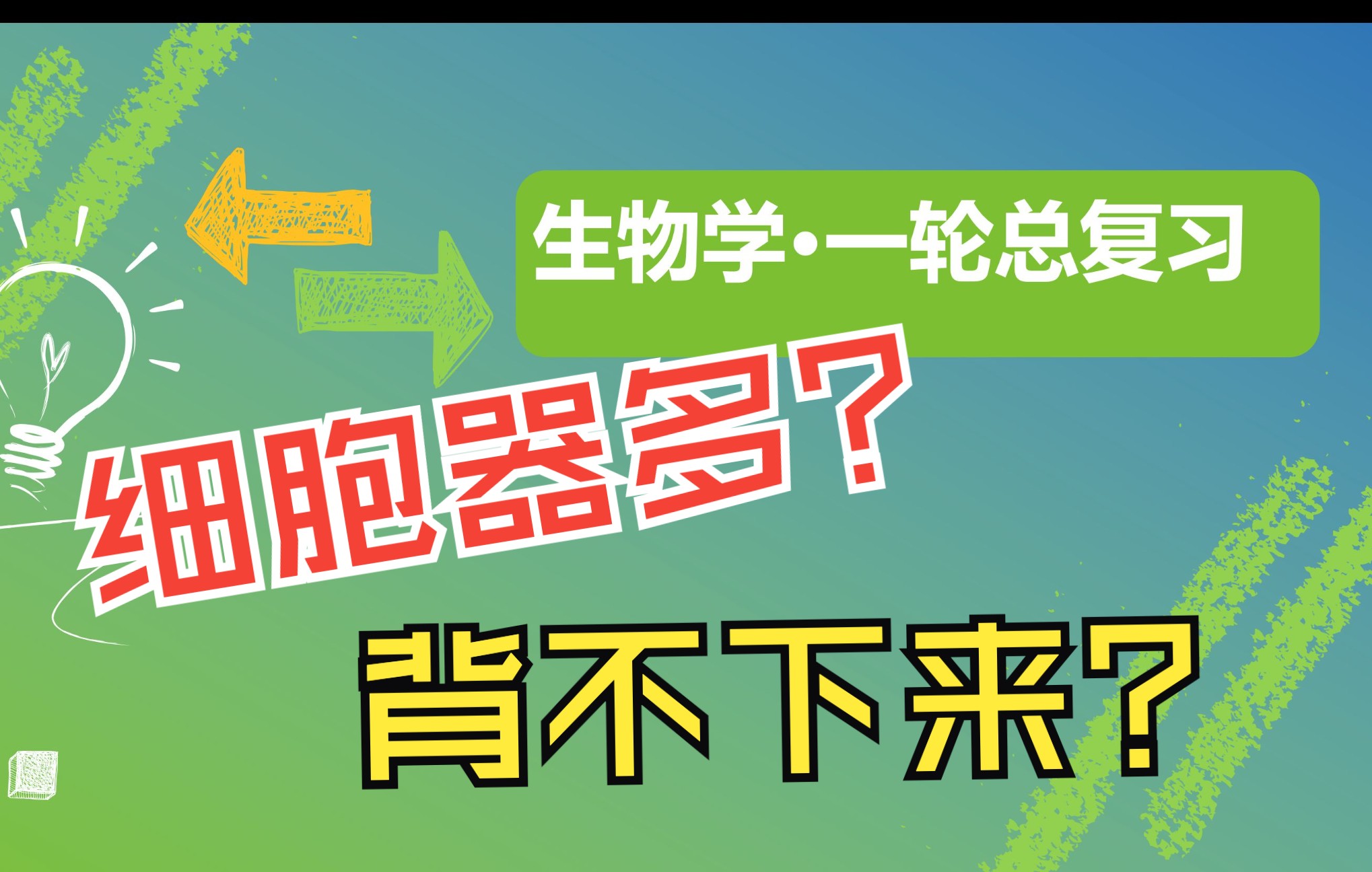 【生物一轮复习】2.2细胞器的分工 高中新高考全国通用新教材新课标...