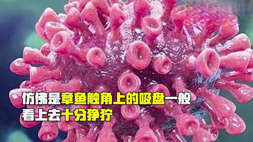 新型冠状病毒真实照片公开,原来样貌如此狰狞!