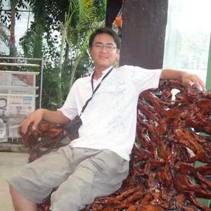 惠民电动咨询顾问 