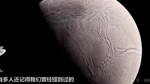 论文造假、数据