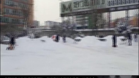 市园林管理处昼夜清雪保安全