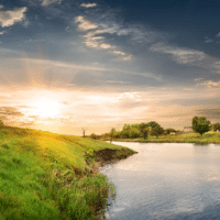 坚韧是成功的一大要素 