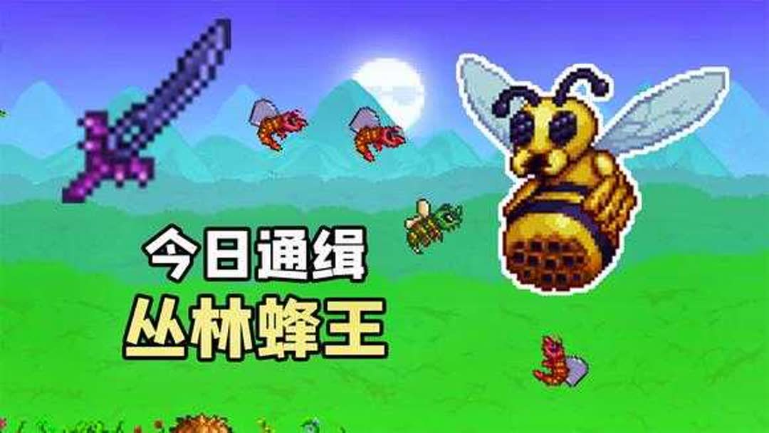 泰拉瑞亚1.4大师实况爬坑4:丛林蜂王与永夜刃