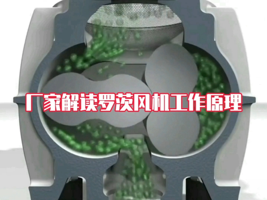 厂家解读罗茨风机是个什么东西,LWD罗茨鼓风机工作原理