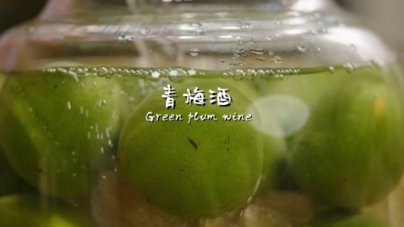 初夏泡一壶青梅酒 待到秋冬和朋友轻饮一杯 聊聊趣事#美味食谱