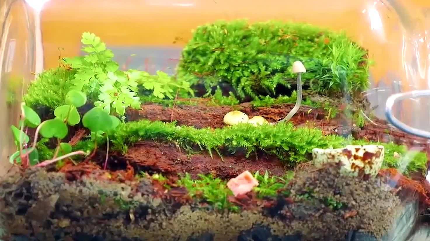 用了那么久的玻璃瓶,你知道它是怎么制作的吗?一起来了解下