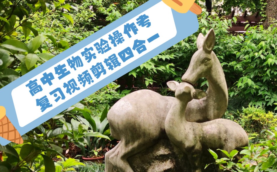 ...实验操作考复习 剪辑四合一(物质鉴定+观察有丝+胞质流动+质壁分离)