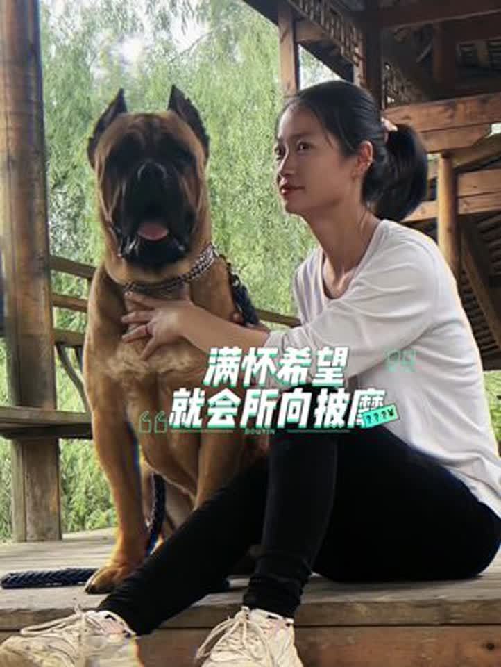#不务正业的养狗人 #护农犬 #适合家养的大型犬品种推荐