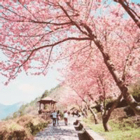 艳丽说舞蹈 