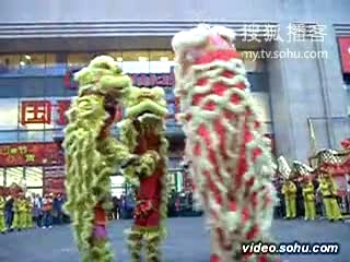 2010年元宵节舞狮表演