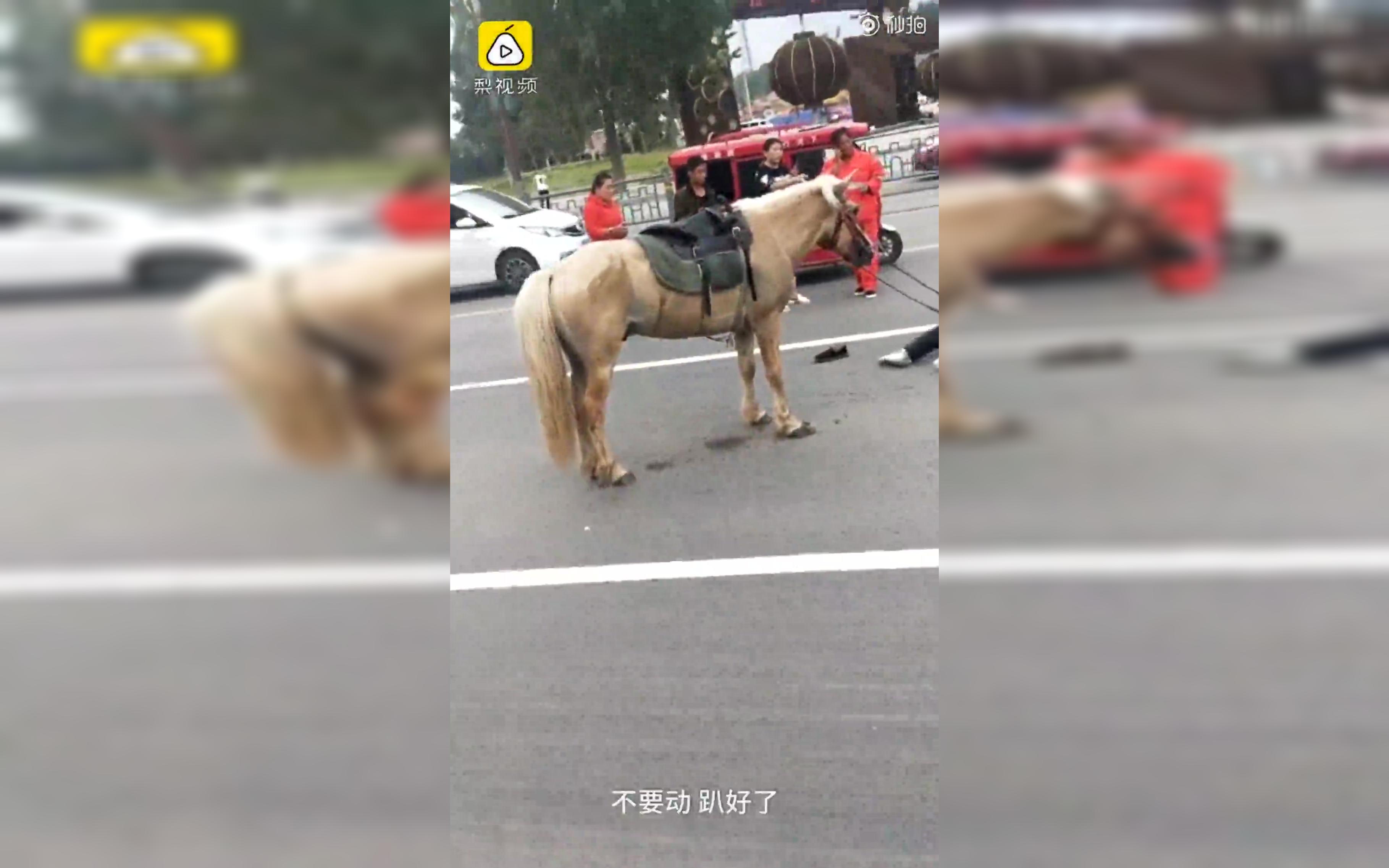 【河北涞源】男子模仿网红视频,骑马飞奔摔惨了