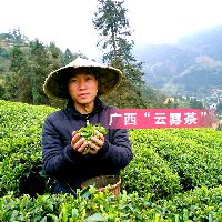 西村表哥v三代茶农 