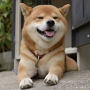 卡机麻先生 