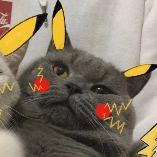 doredotch 