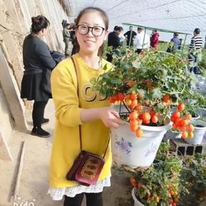 寿光市中荷无土栽培研 