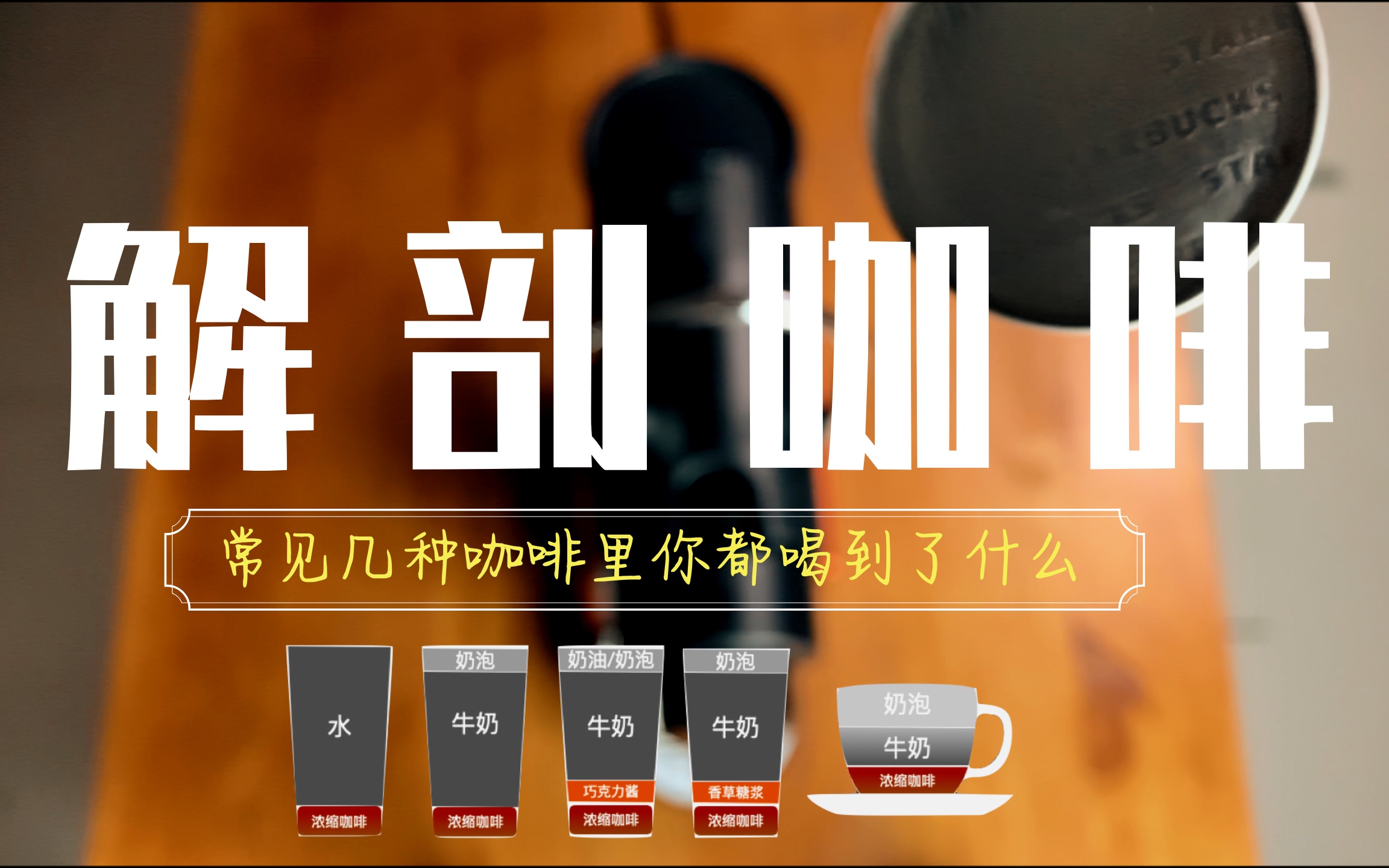 咖啡知识(1) | 初步了解你喝的咖啡(动图文字直观了解咖啡)