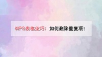 WPS表格技巧:如何删除重复项!—江下办公
