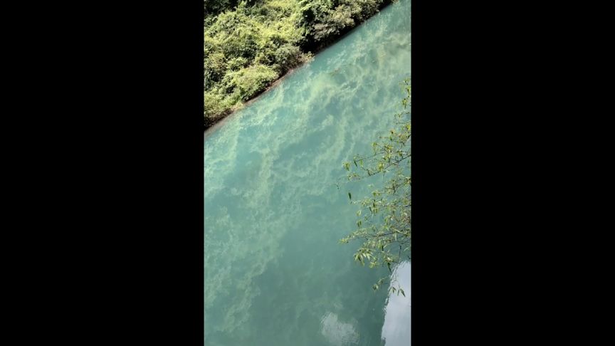 张家界玻璃桥大峡谷,来一场说走就走的旅行,