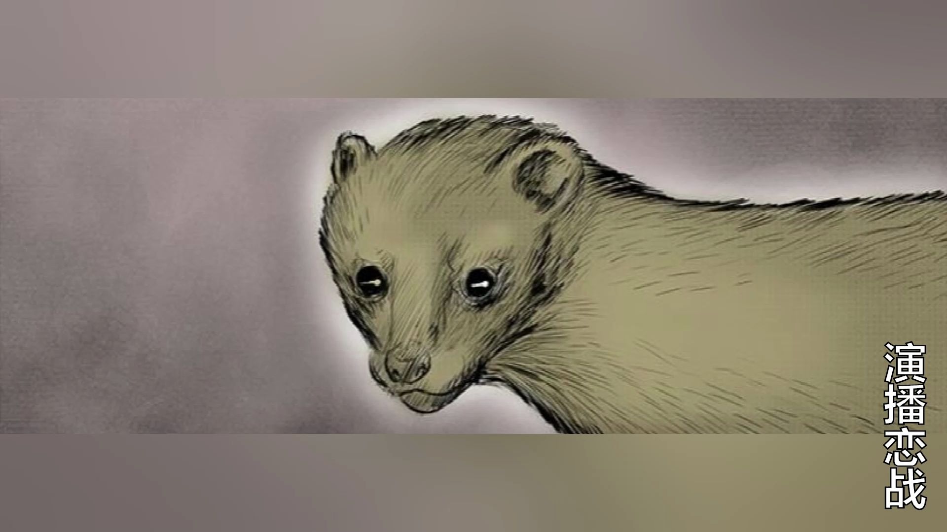 黄鼠狼的复仇|中国诡实录|鬼故事