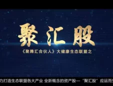 聚汇成品(互联网金融区块链宣传片)
