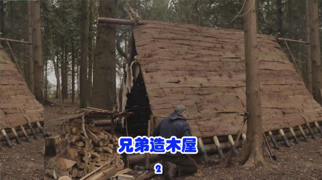 兄弟二人,在森林里搭建小木屋