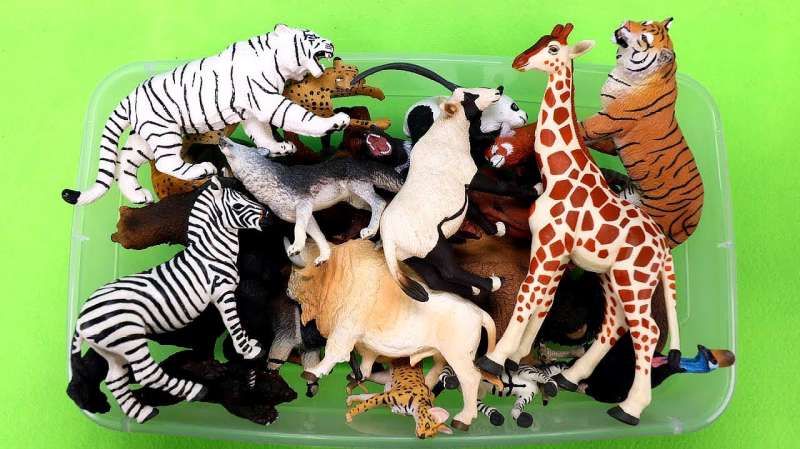 认识野生动物 奇趣动物模型大集合