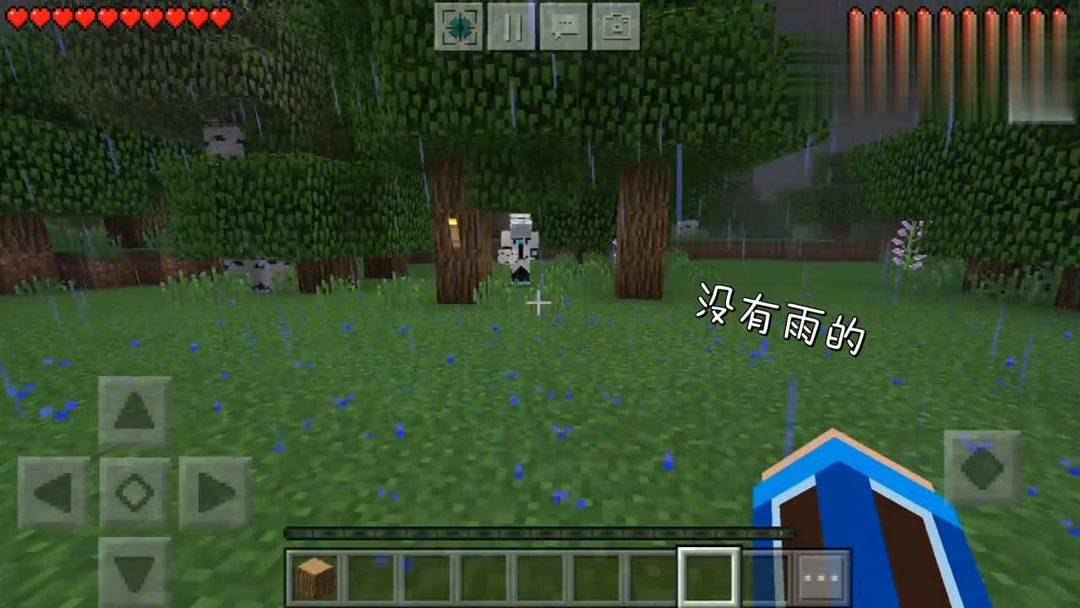 我的世界雷雨天爆爆非要去树下避雨却被一道闪电击中