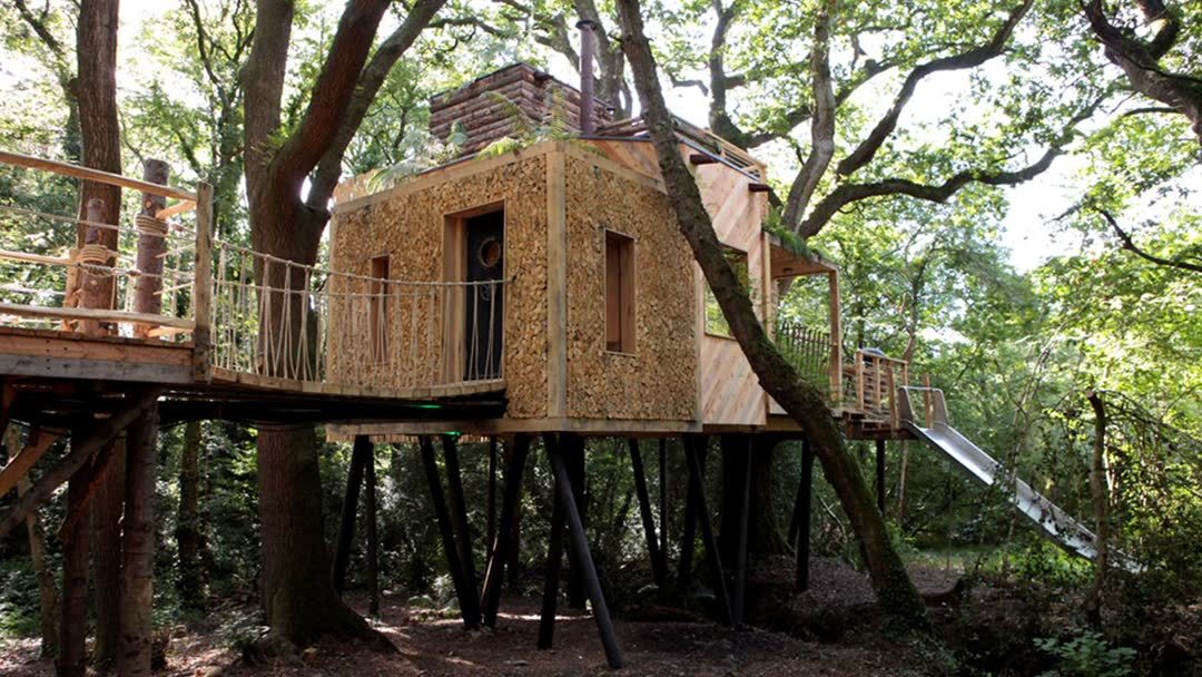 设计师花费150万建造五星级树屋,配备户外树浴,吸引无数游客!