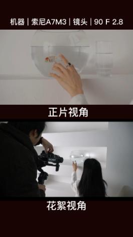 视频短视频怎么拍?简单几个镜头搞定#摄影技巧 #短视频教程 #饰品拍摄
