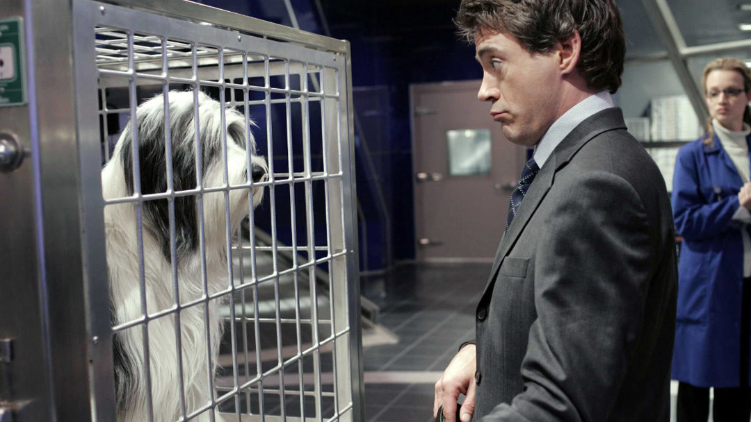 小伙被活了300岁的狗咬了,第二天,身体发生了变化!