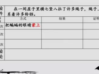 《蝙蝠和雷达》教学实录